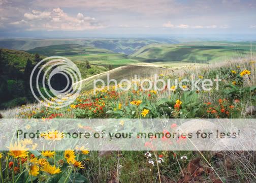 VALNet Catalog – Lewiston City Library