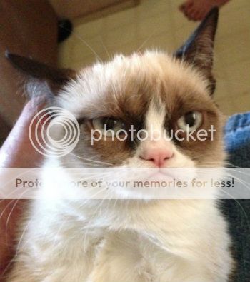 Pre-Ban Mag body replacement is it legal > New York > AR15.COM