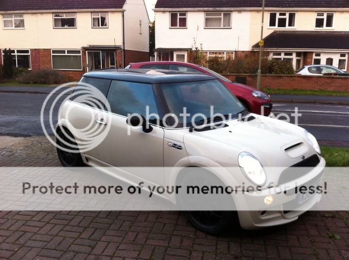 project white rat jcw r53 | MiniTorque.com