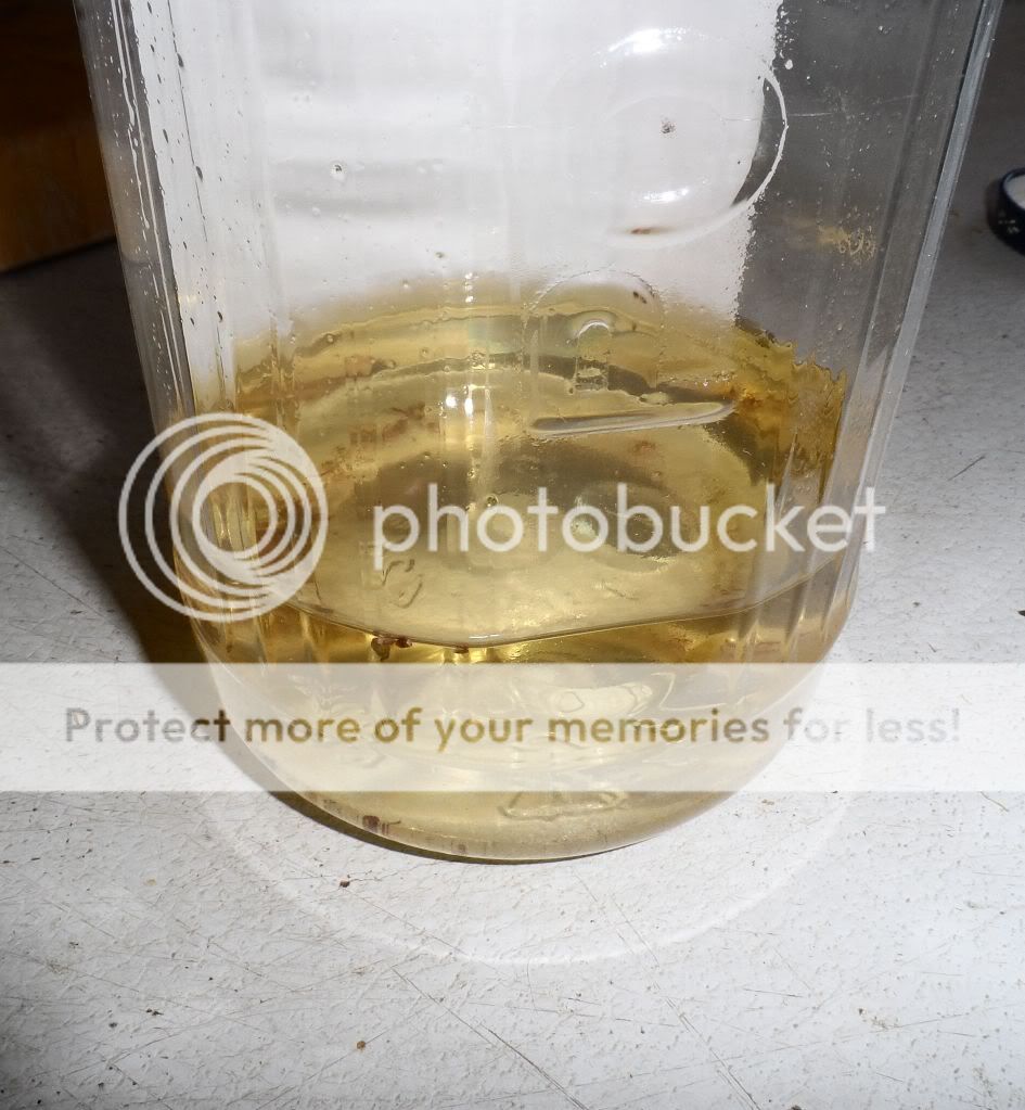 My shelite Naptha Oil extraction....golden honey oil | Rollitup